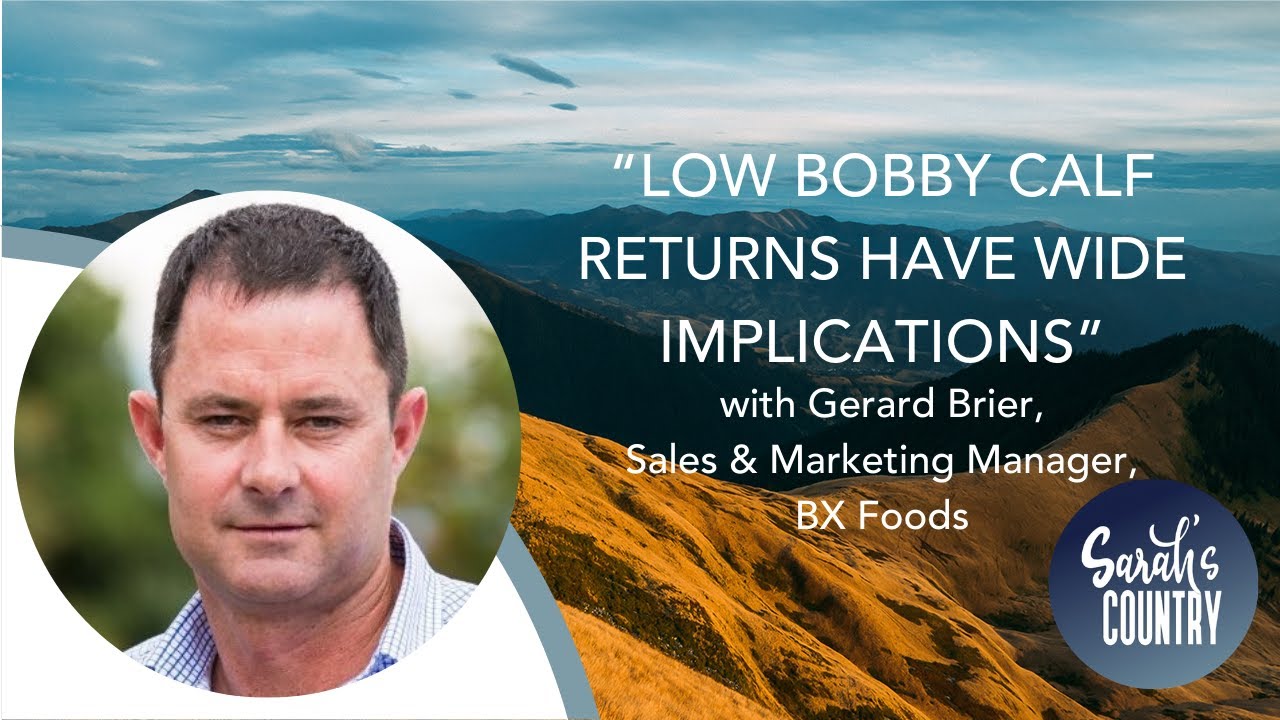 "Low bobby calf returns have wide implications” with Gerard Brier ...