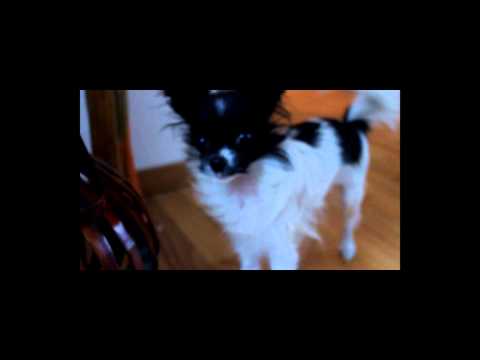 Amira's Blog: Greeeeeeeeeeeeeeeeeeenies daher! (21.02.2013)