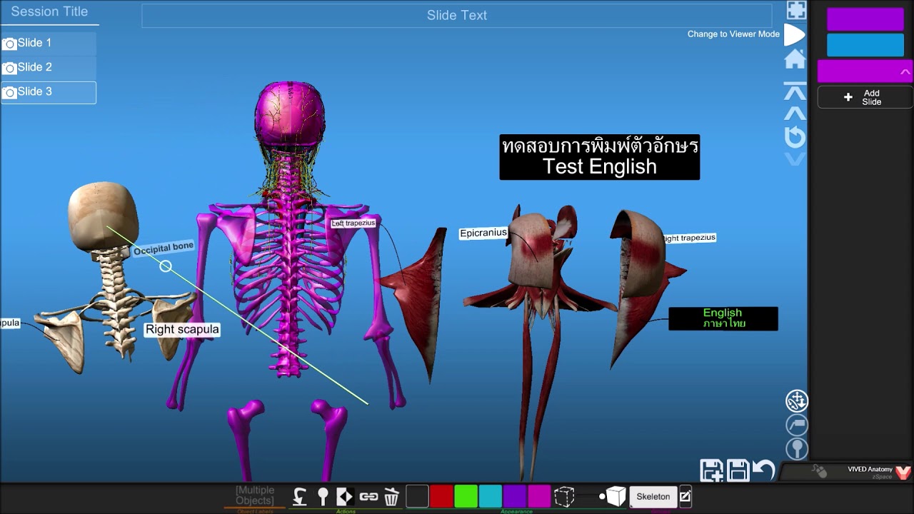 การแยกชิ้นส่วนเป็นกลุ่ม - แอพพลิเคชั่น VIVED Anatomy - YouTube