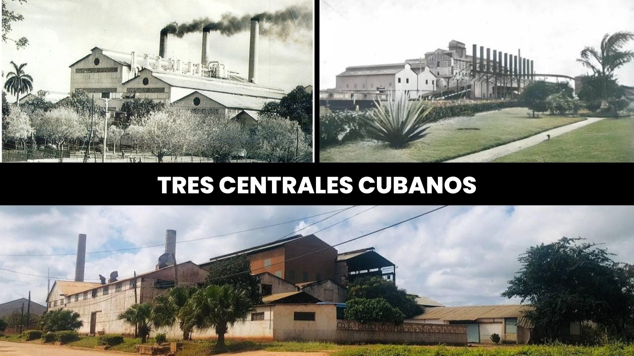 Los gigantes del azúcar cubano que el mundo olvidó #cubanosporelmundo # ...