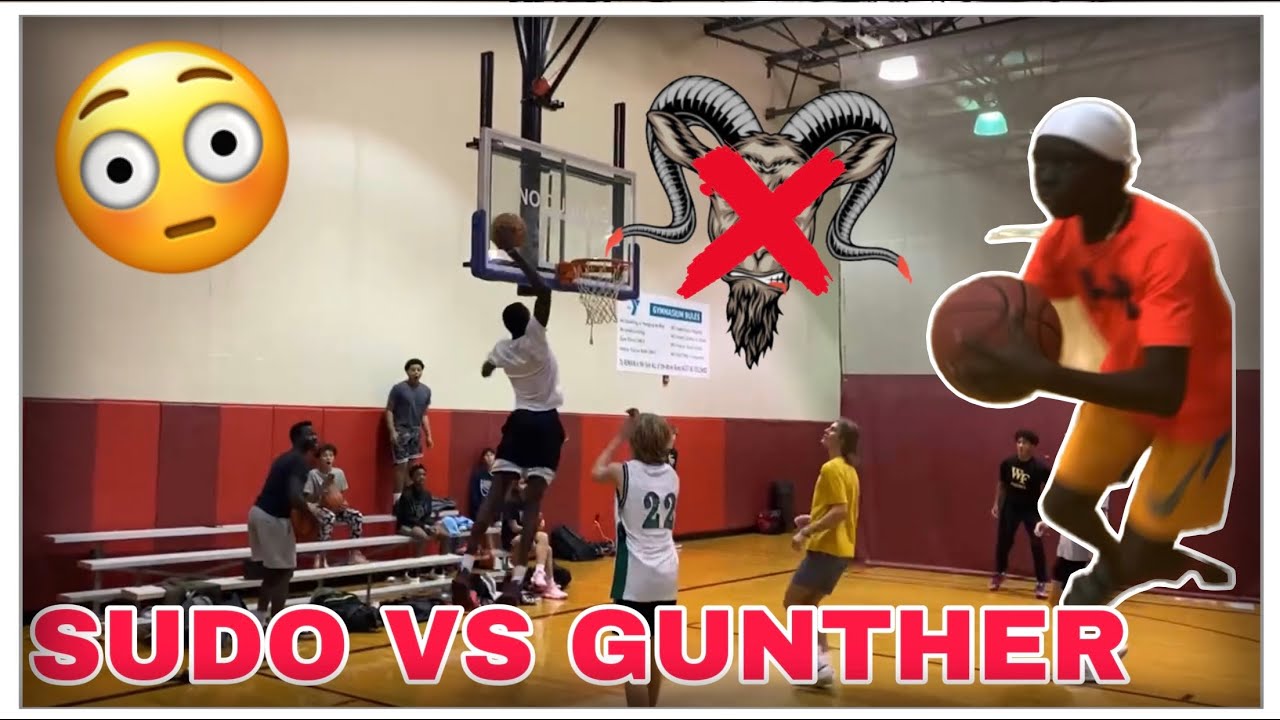 The return of Sudo... (Sudo vs Gunther) - YouTube
