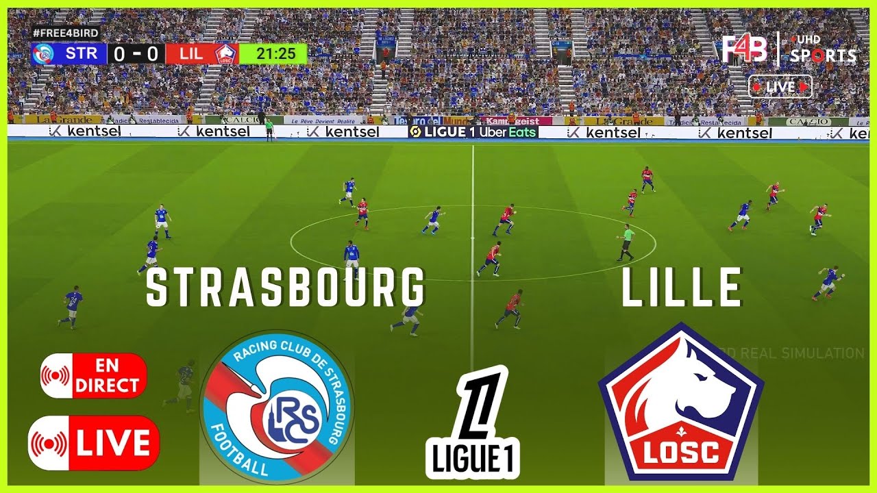 STRASBOURG VS LILLE EN DIRECT | LIGUE 1 24-25 | SIMULATION & SCORE EN ...