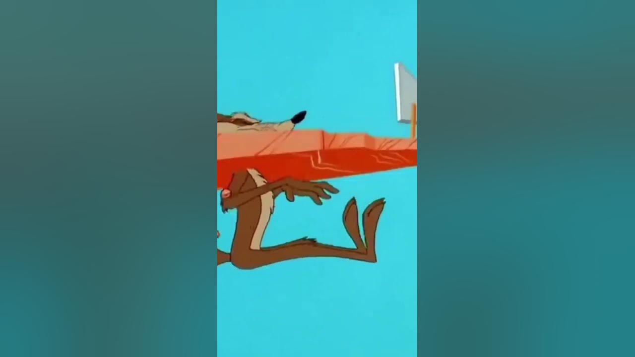 Coyote Vs Acme Looneytunes Pernalonga Patolino Gaguinho Wileecoyote Coyotevsacme