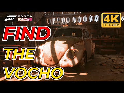 Forza Horizon 5: Finding the VOCHO| G29| Ultra 4K