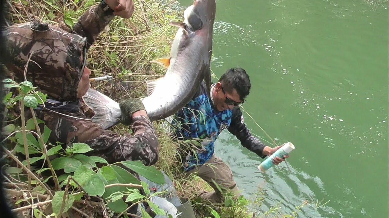 Berawal dari sniper jatigede nembak ikan albino monster bikin saya ...