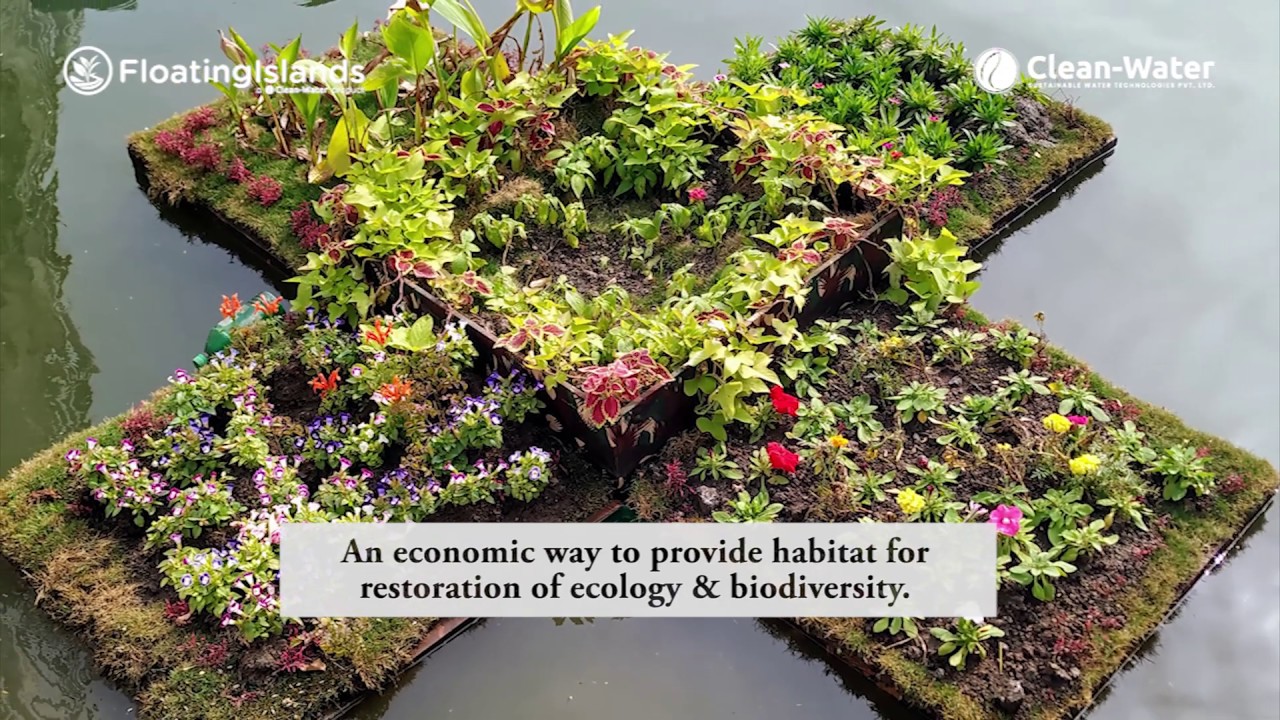 Floating Island creates ecological habitat for wildlife - YouTube