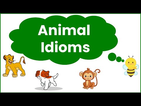 40 Animal Idioms and Expressions in English - YouTube
