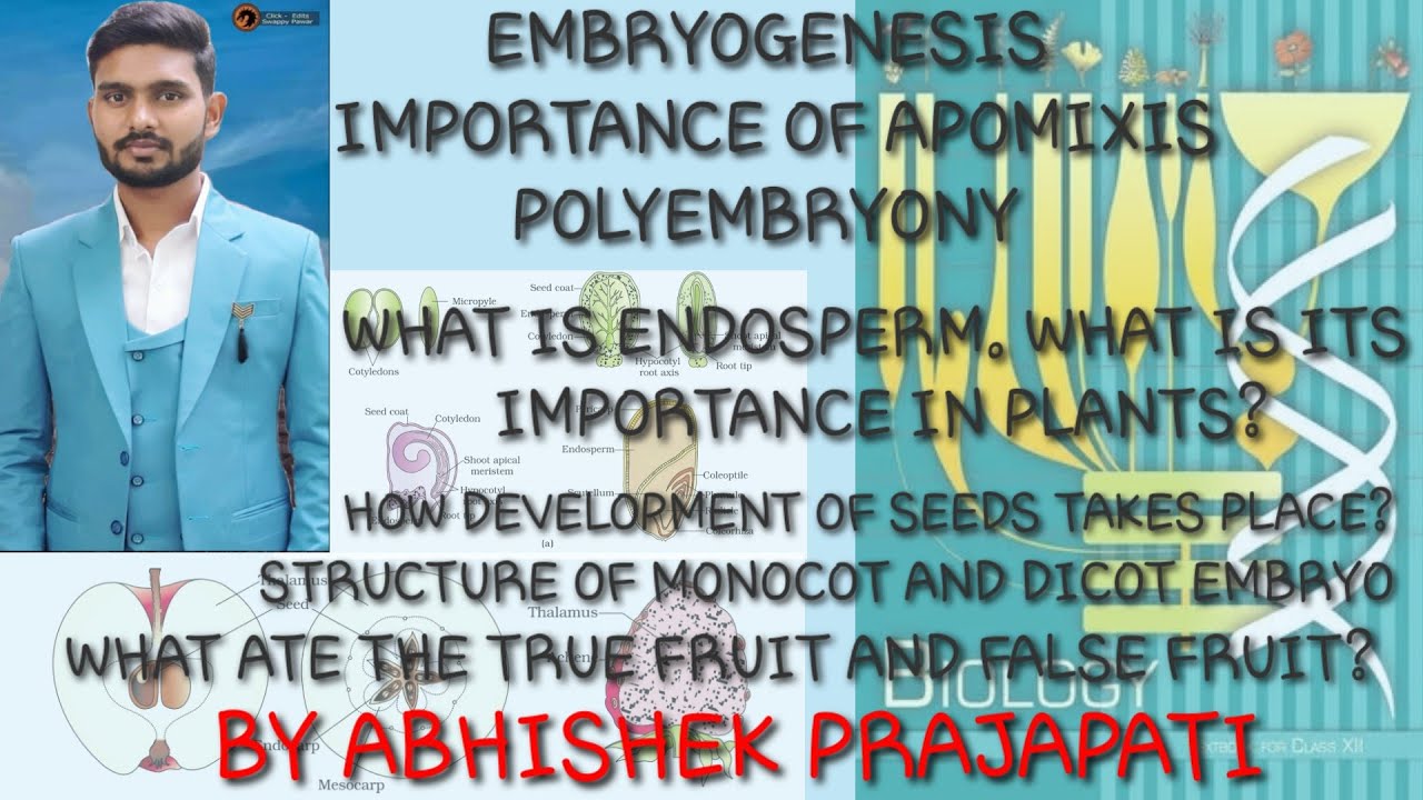 Apomixis and polyembryony/ Embryogenesis/sexual reproduction in ...