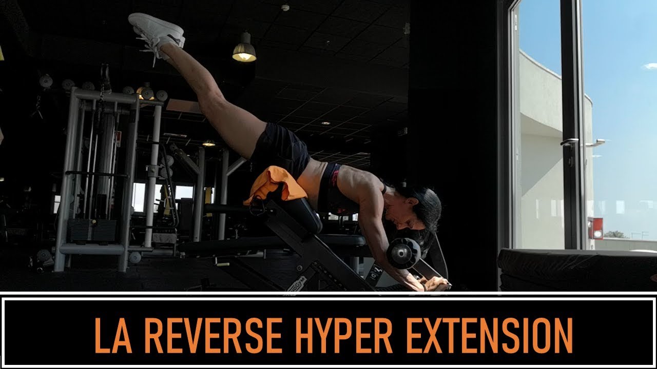 ALLENAMENTO: LA REVERSE HYPER EXTENSION CON VARIANTI - YouTube