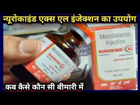 Nurokind-XL injection 💉 ka Upyog Pashuon mein konsi Disease mein kab ...