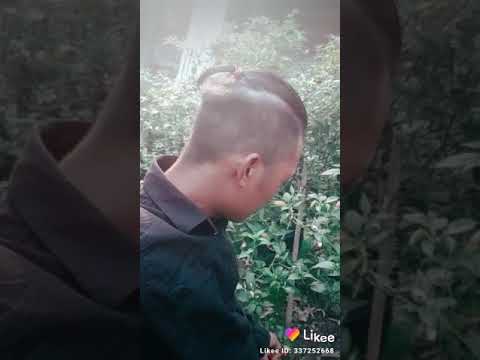 Bau sebiye-hitam merah