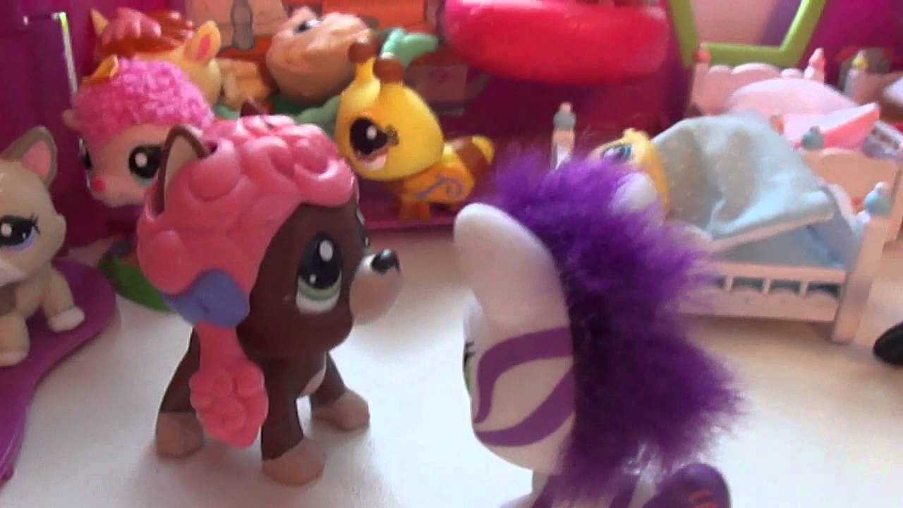 Pet Shop + TV HD 1 серия - YouTube