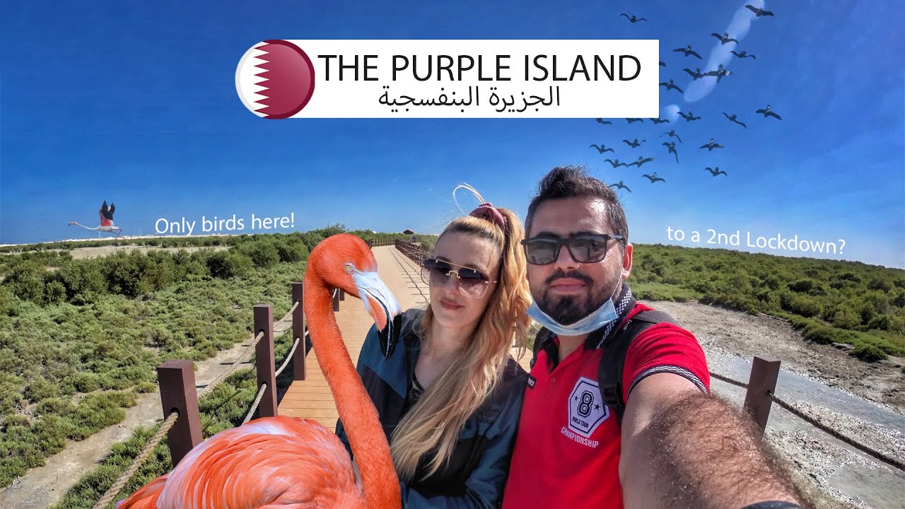 The purple Island al khor QATAR- the flamingo land الجزيرة البنفسجية ...
