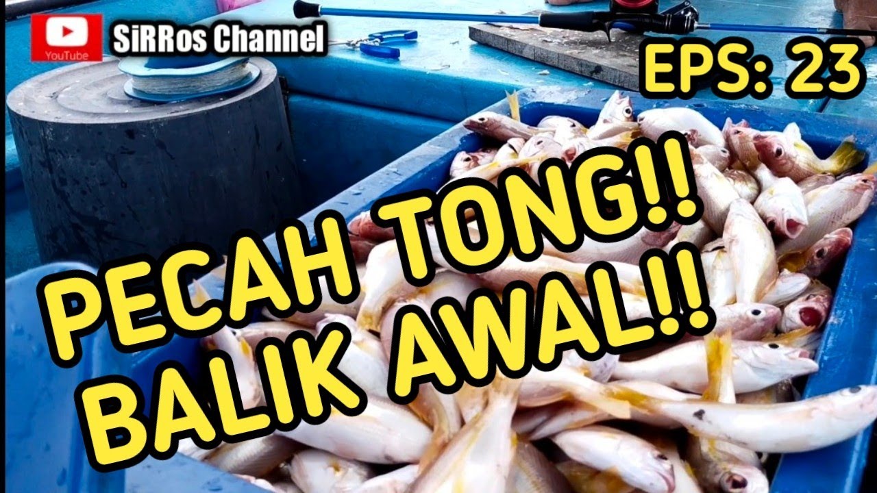 yellow fish Jack EPS 23 | ikan remong jalur - YouTube