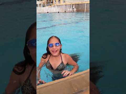 Um dia na piscina(1)