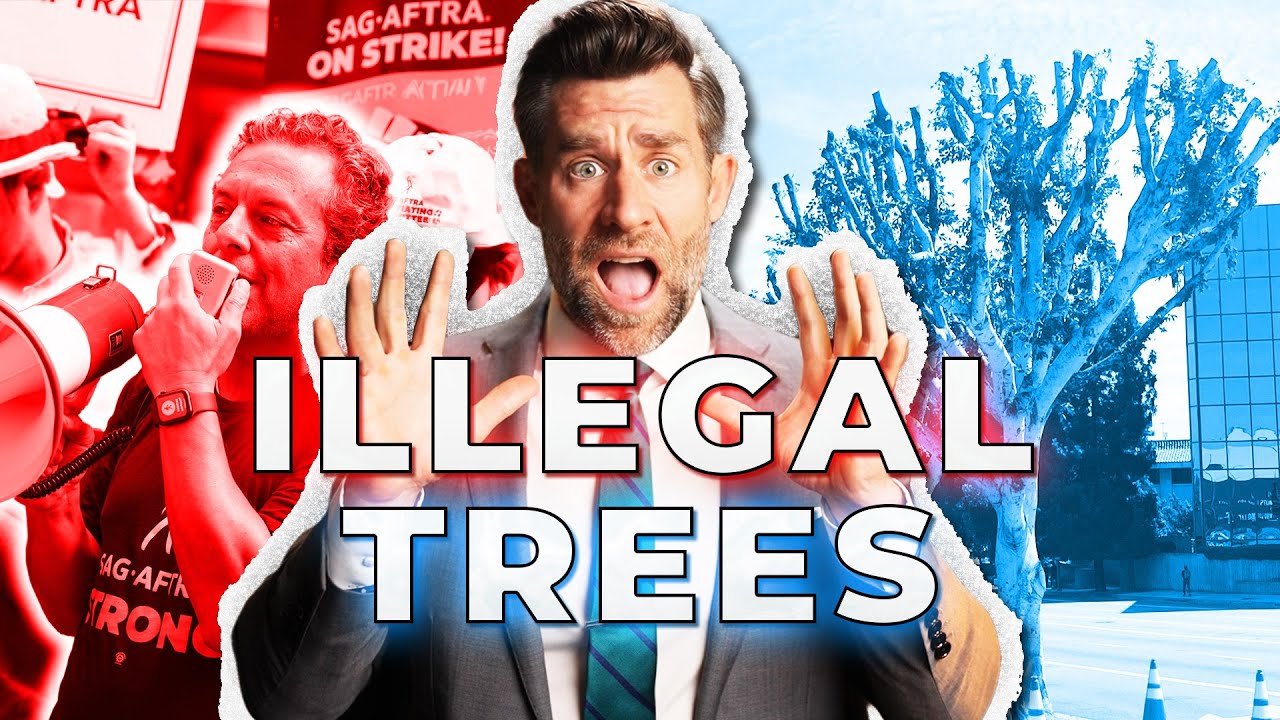 Cutting Down Trees To Hurt Protesters? (TREE LAW!) - YouTube