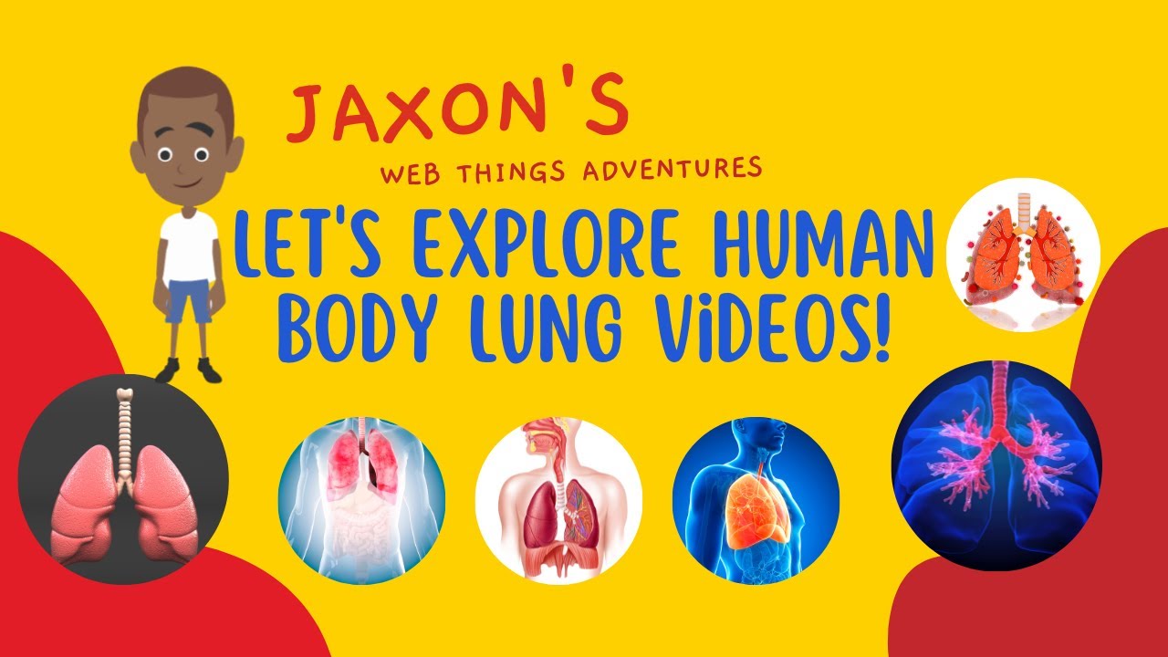 Let's Explore Human Lungs Videos - Jaxon's Human Body Anatomy Video ...
