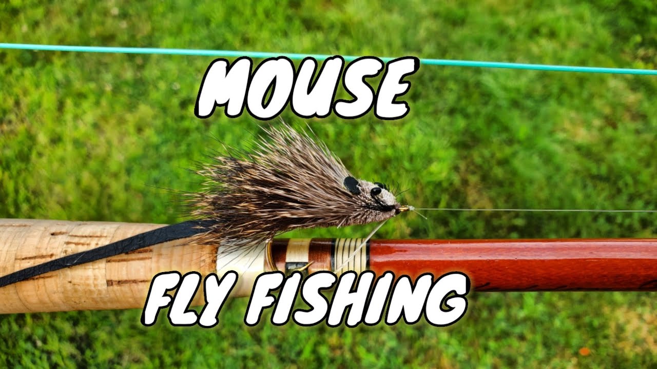 Mouse Fly Fishing Catches a Couple Bass FAST - YouTube