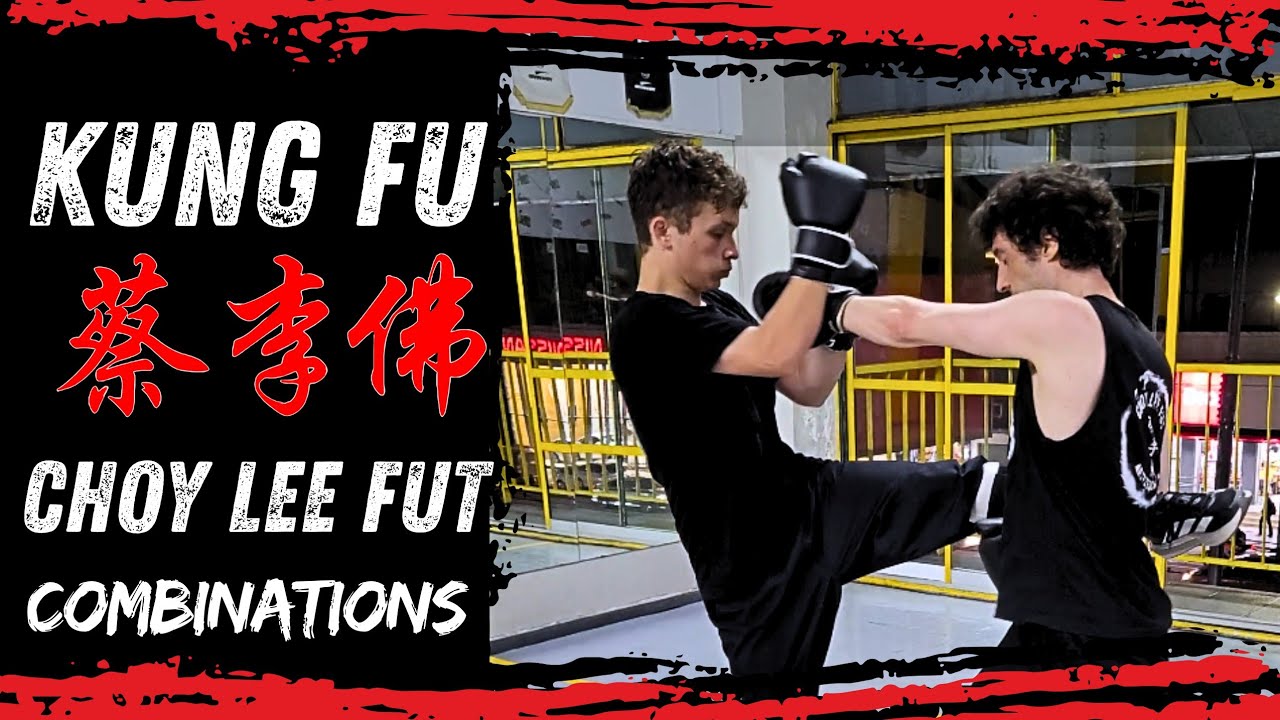 💥Choy Lee Fut | Sow Choe | Combinations - YouTube
