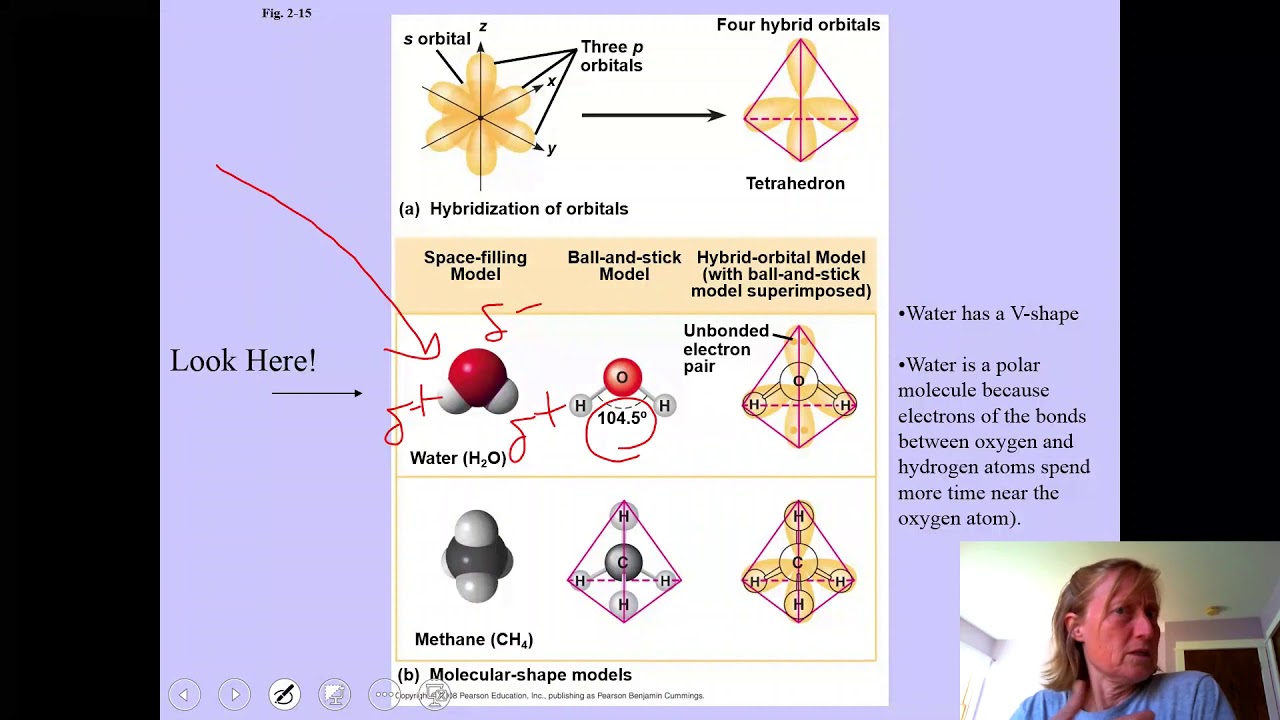 Chapter 3 Water's three dimensional structure - YouTube