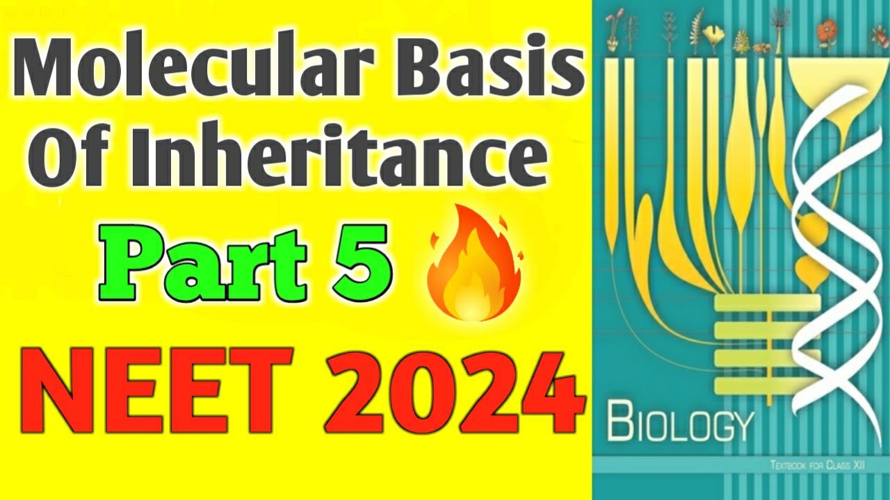 Line to line from new NCERT 💯😎 | Molecular Basis of Inheritance Part 5 | NEET 2024 - YouTube