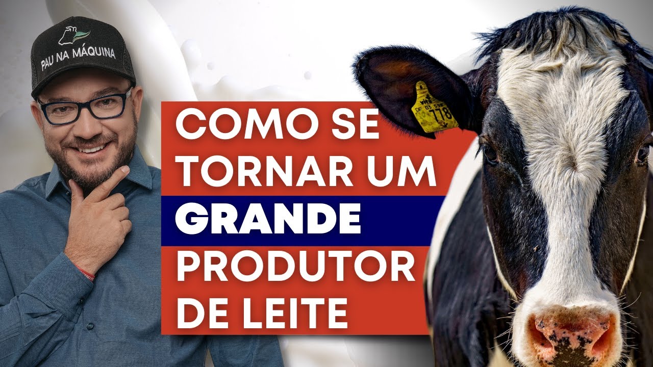 O SEGREDO para se tornar um grande produtor de leite. - YouTube
