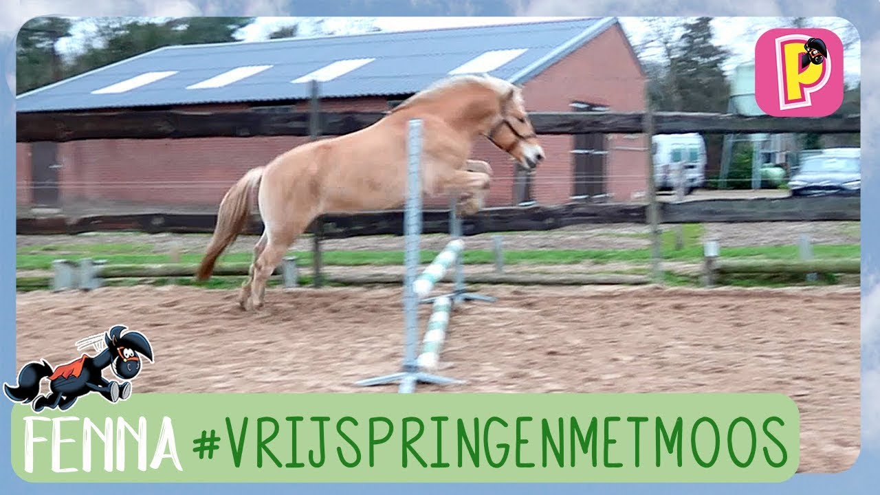 Vrijspringen met Moos | Fenna | PennyTV - YouTube