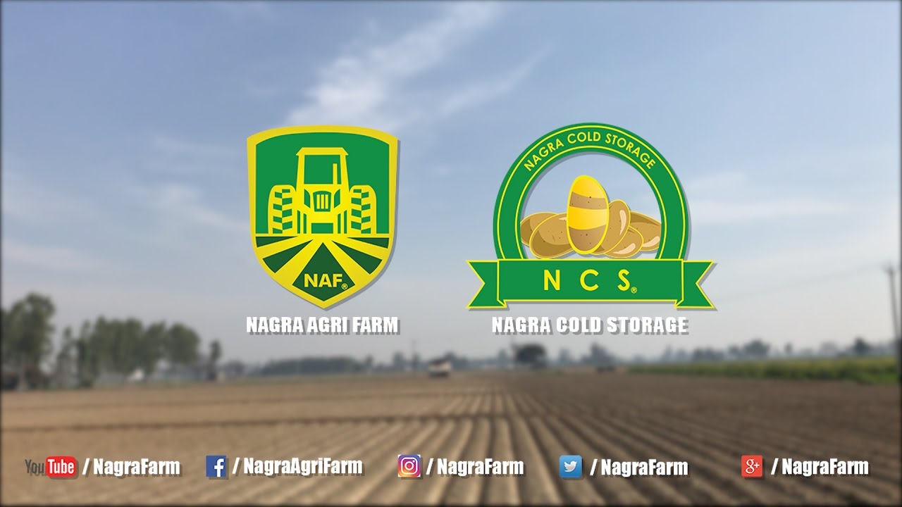 Nagra Agriculture Farm - NAF - Fields - YouTube