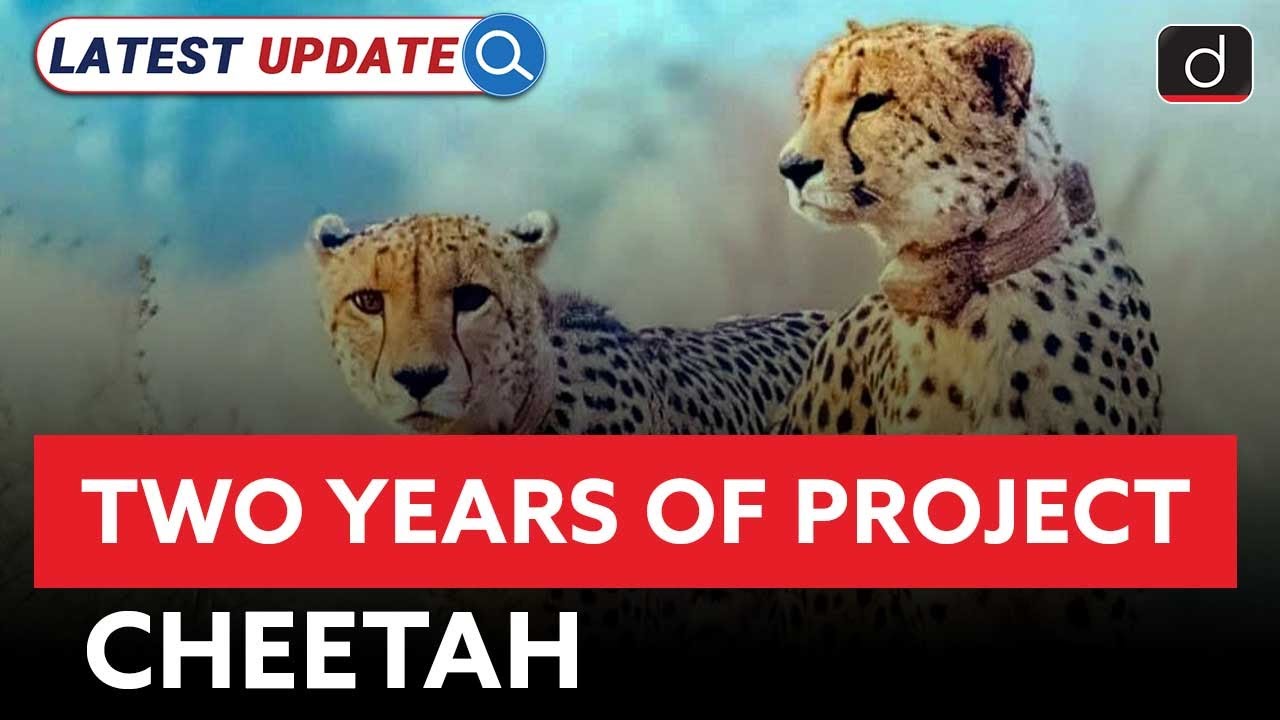 Two Years of Project Cheetah | Cheetah Reintroduction Project| Latest ...