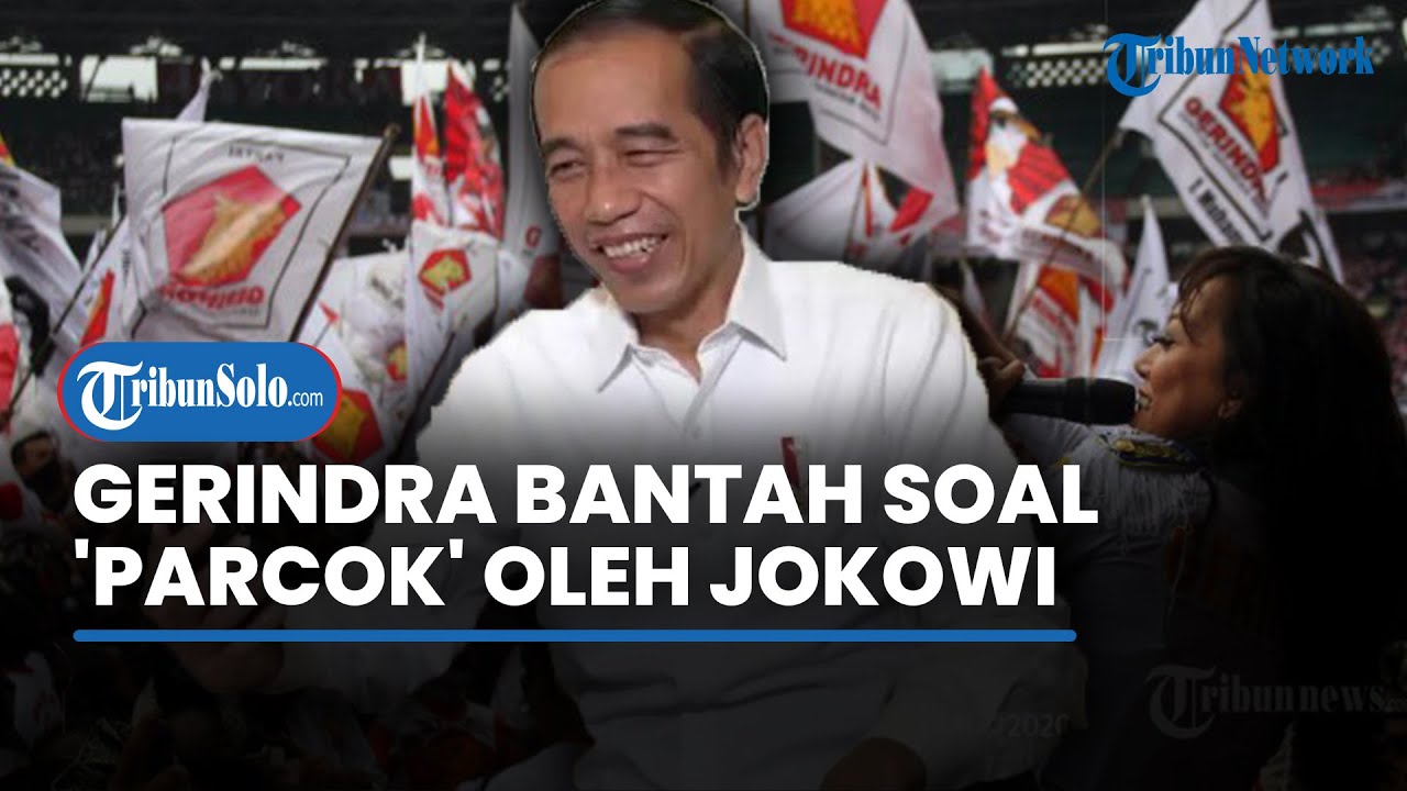 Polemik 'Partai Cokelat' di Pilkada 2024: Dibantah Jokowi, Gerindra ...