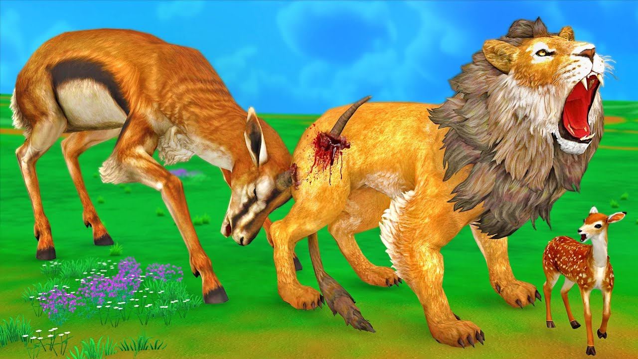 लंबे सींग वाले हिरण ने बच्चे को क्रूर शेर से बचाया Long Horn Deer Saves ...