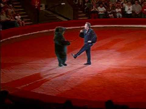 Russian circus bear jump roping dancing and on a motorcycle - YouTube