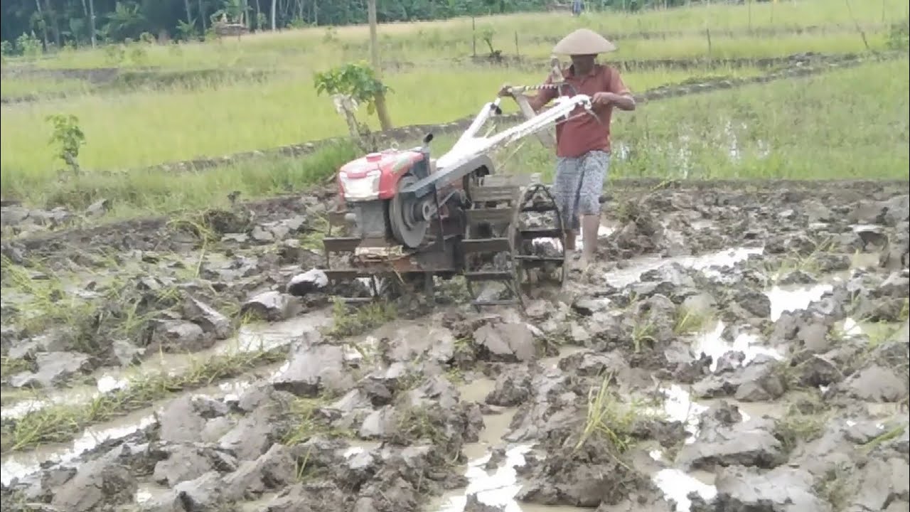 traktor sawah quick G3000 zeva dengan mesin diesel kubota RD85Di 2s ...