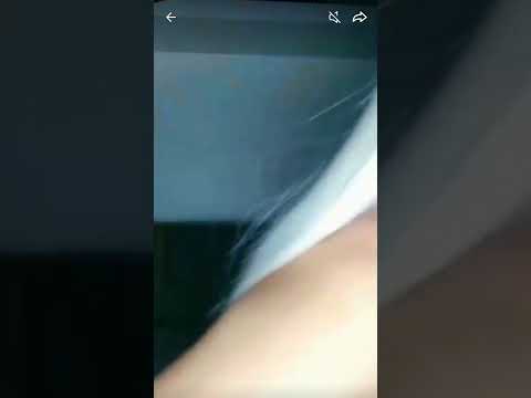 ilçin karagoz tango yayın