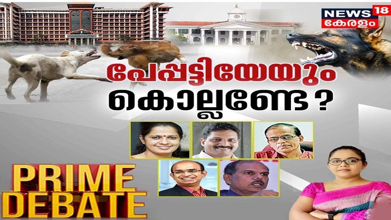 LIVE : Stray Dog Attack In Kerala | High Court | Rabies Death ...