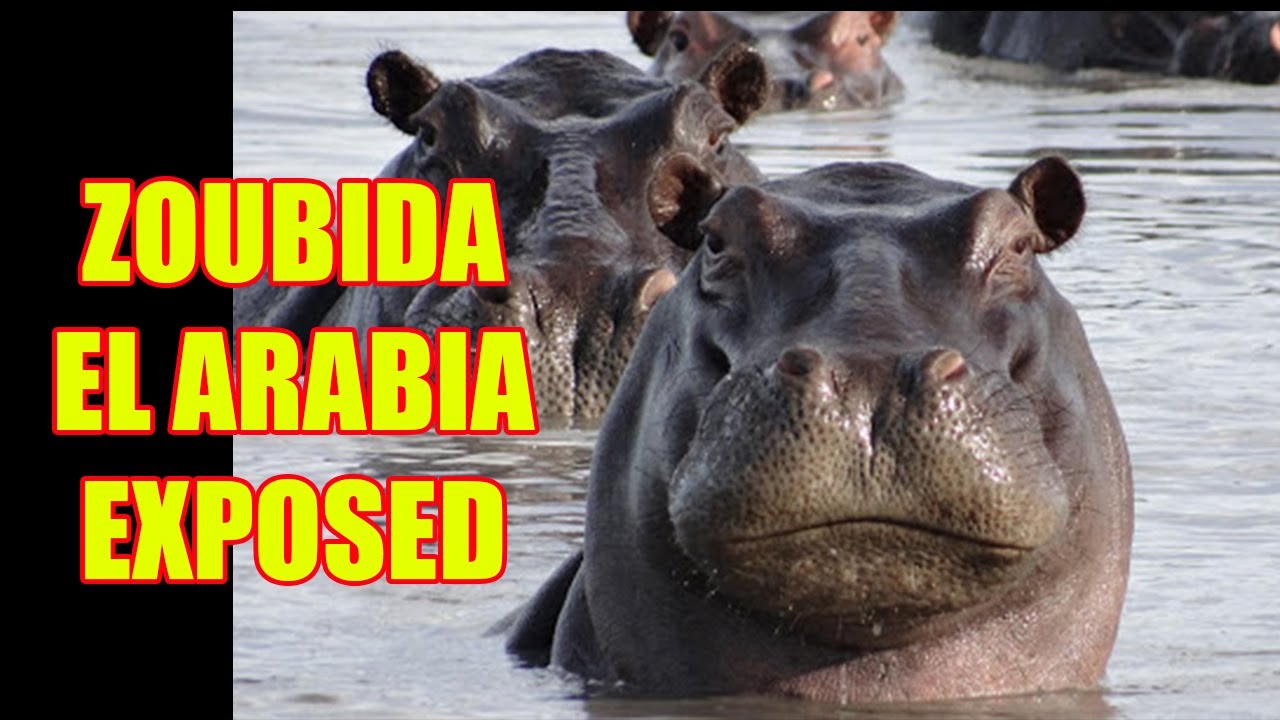 Zoubida El Arabia Exposed part 1 - YouTube