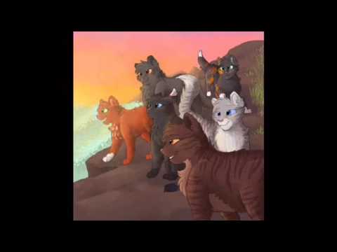 Greystripe X Silverstream and their kits - YouTube