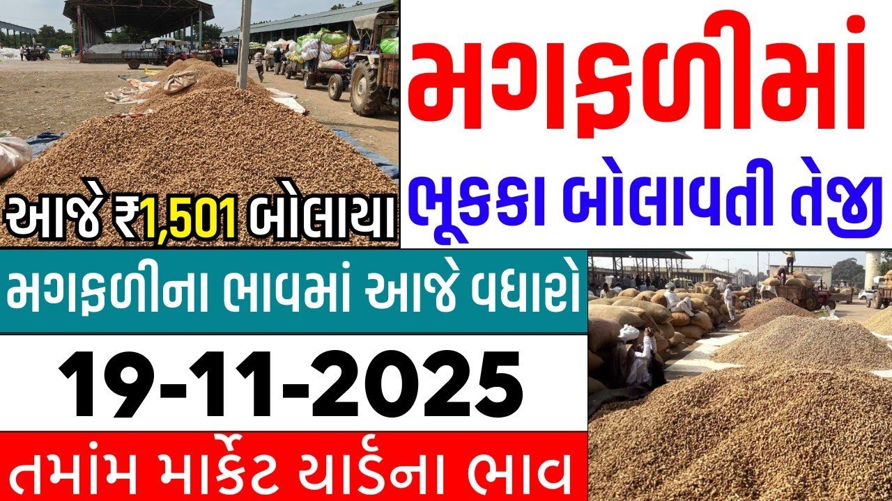 🔥મગફળીના ભાવમાં જોરદાર તેજી🔥| 19-11-2025 | magfali na bhav | આજના ...