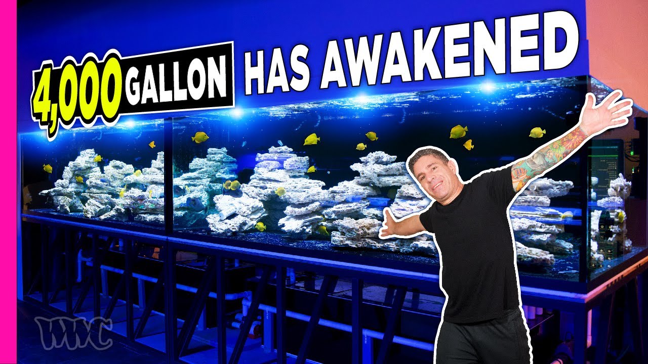 A Year in the Making the 4000 Gallon Tank is finally Here! - YouTube