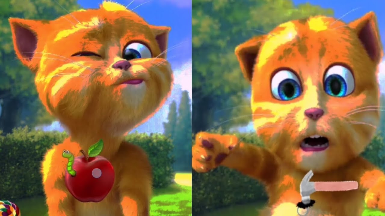 Talking ginger 2 !! Talking ginger cat 🐈😺 !! Talking ginger funny video ...