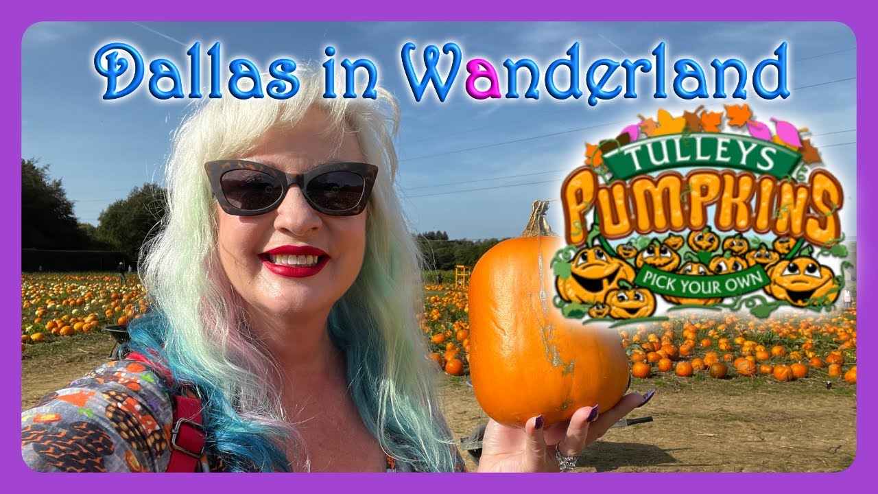 THE UK’S NO.1 PUMPKIN FESTIVAL! 🎃Tulley’s Pumpkins - YouTube