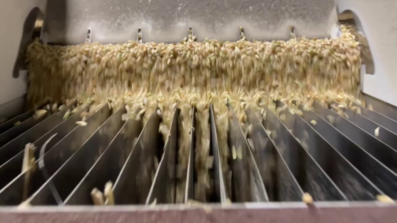 Processing Brown Rice - YouTube