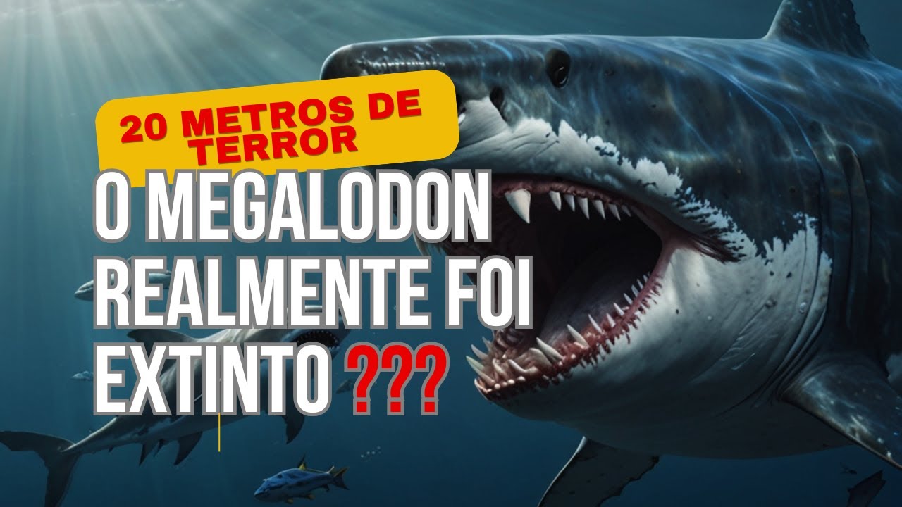 20 Metros de Terror: O Megalodon Realmente Foi Extinto??? - YouTube