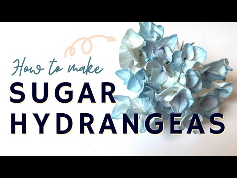 How To Make A Sugar Paste Hydrangea
