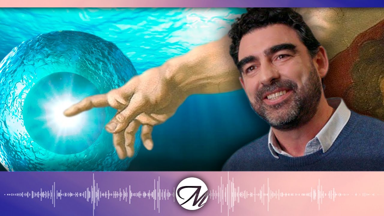 Nick Lane on the origin of life, sex and death - YouTube