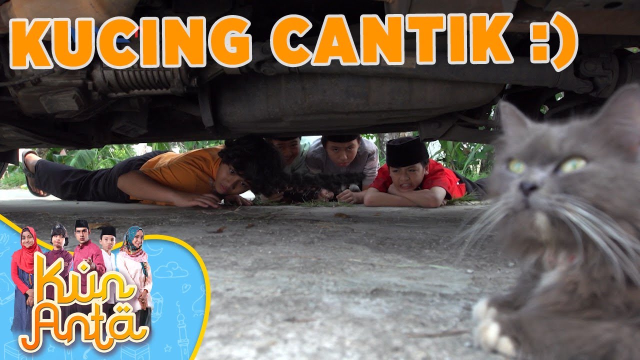 Haikal dan Sobri Mau Ambil Kucing Cantik - Kun Anta - YouTube