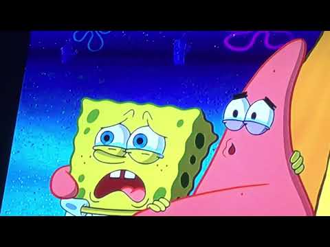 The sea bear attack - YouTube