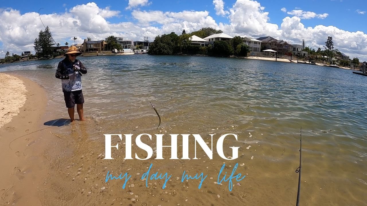 Chasing The Fish - What Will We Catch Today - Gold Coast Waters - YouTube