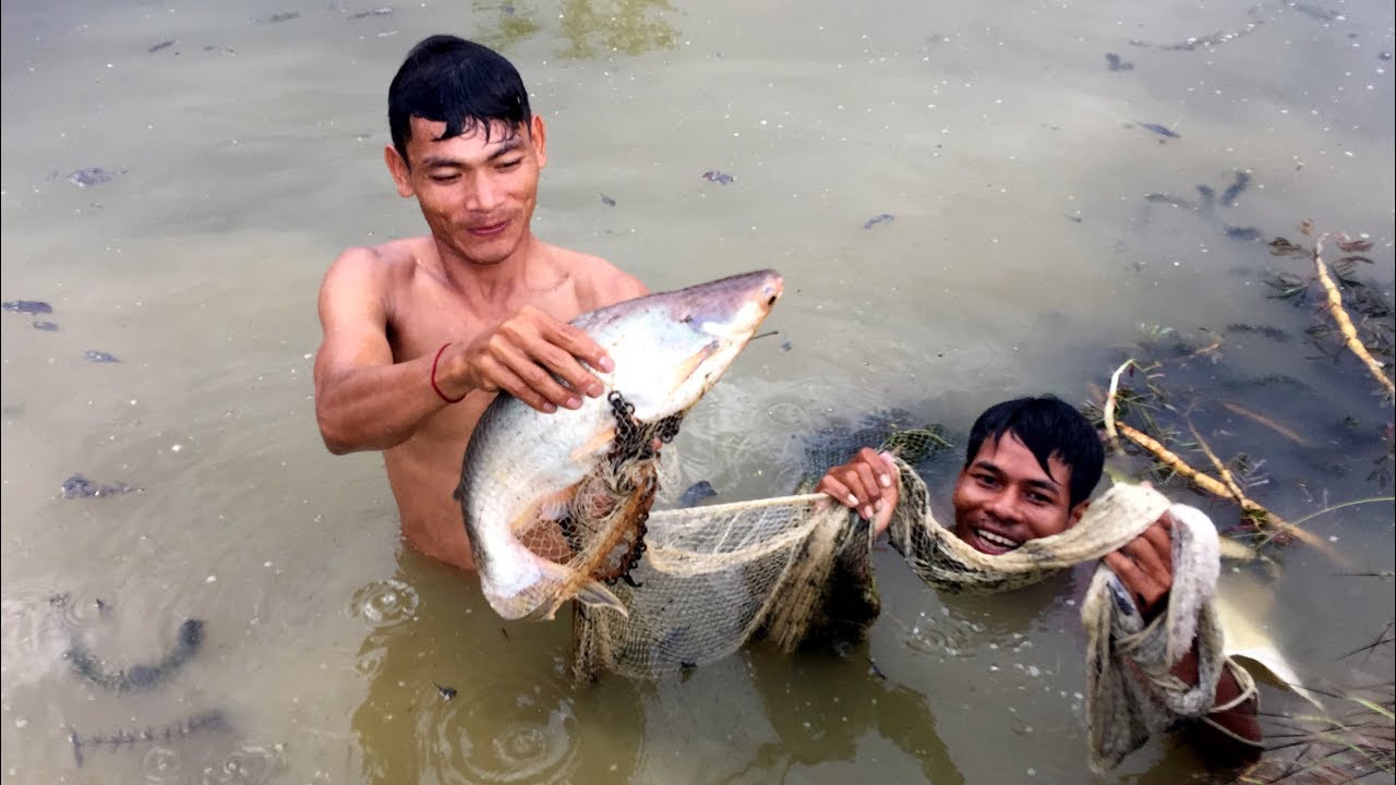 Net Fishing | This Fishing Man was drunk but they can capture big fish ...