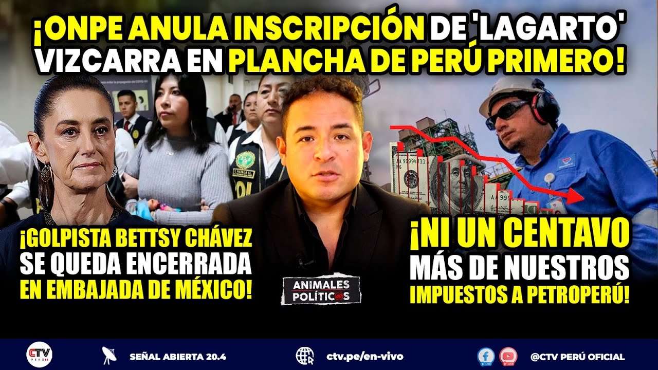 ANIMALES POLÍTICOS con Aaron Salomón #CTVPerú - YouTube